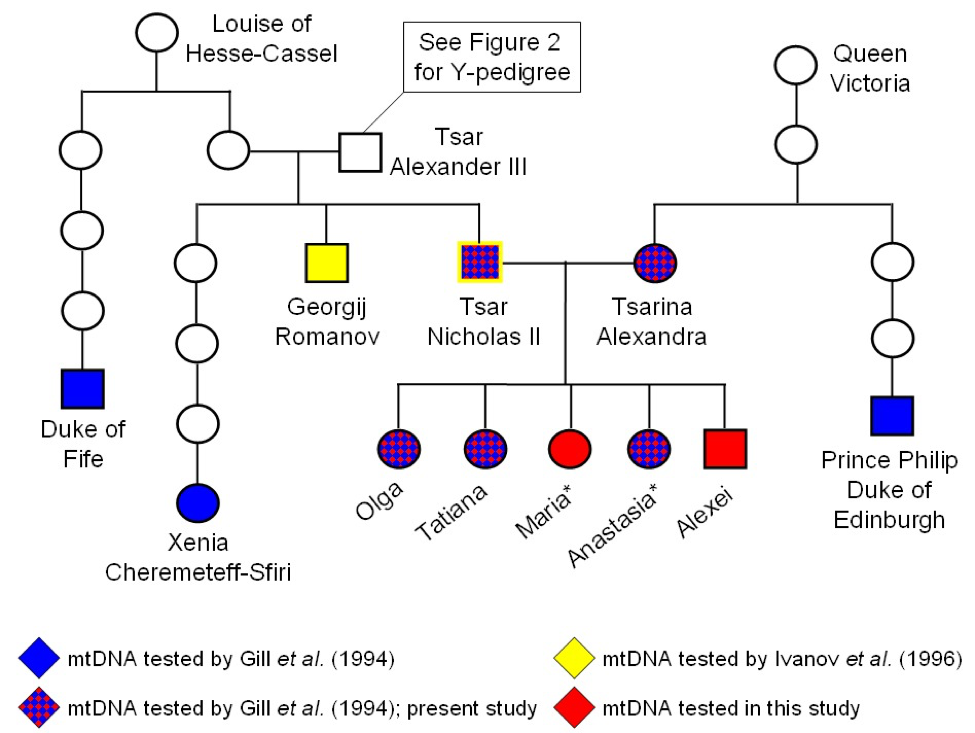 Using Matrilineal Mitochondrial DNA to Discover the Past: A Royal Case ...